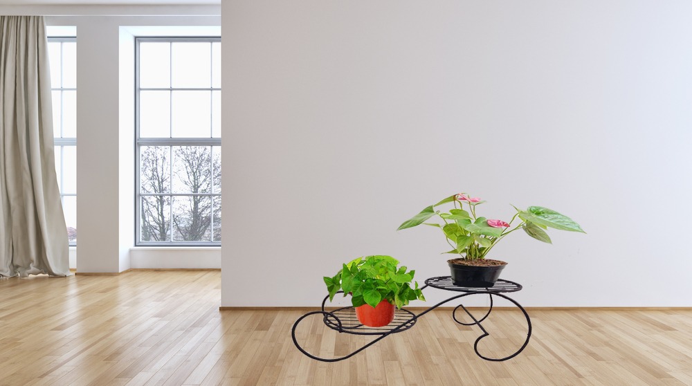 S-Shape Plant Stand - BeshiDeshi