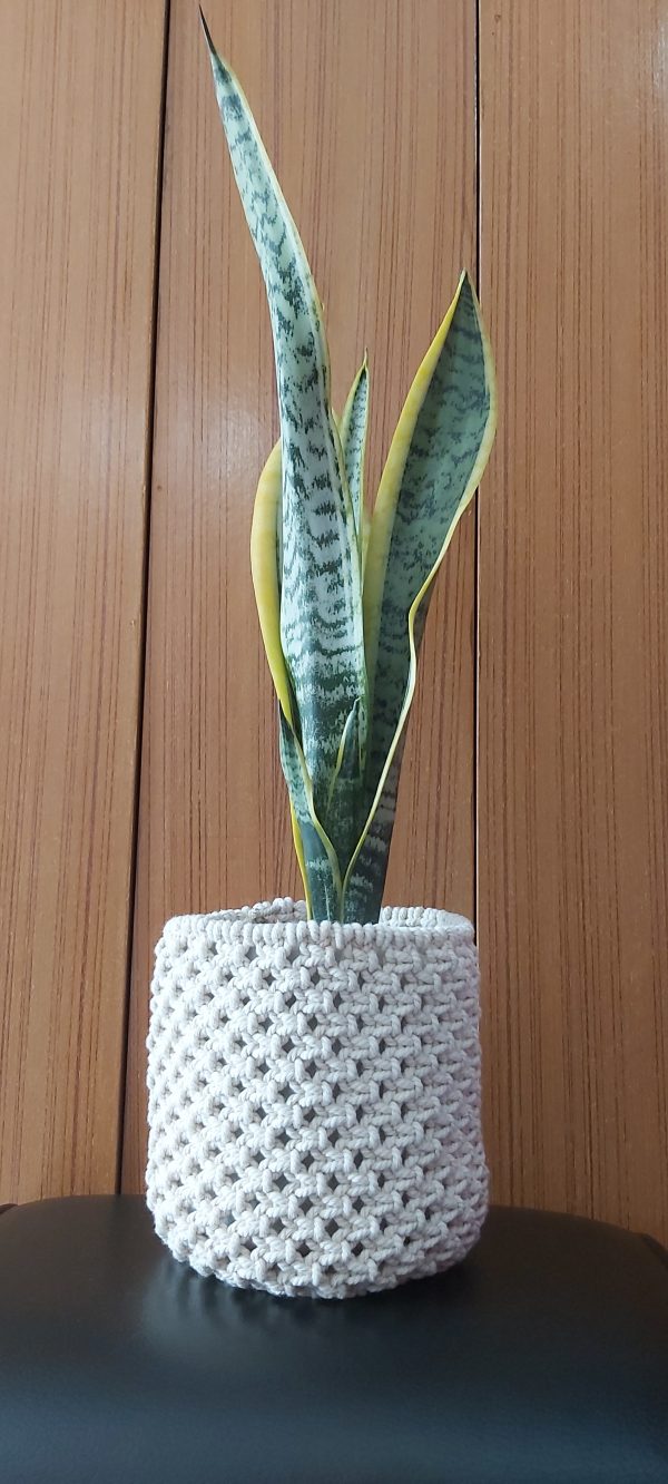 Macrame planter cover - BeshiDeshi